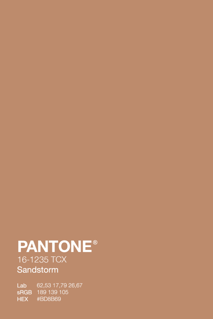 Coral Sand Summer Color Palette - Amberblue Media