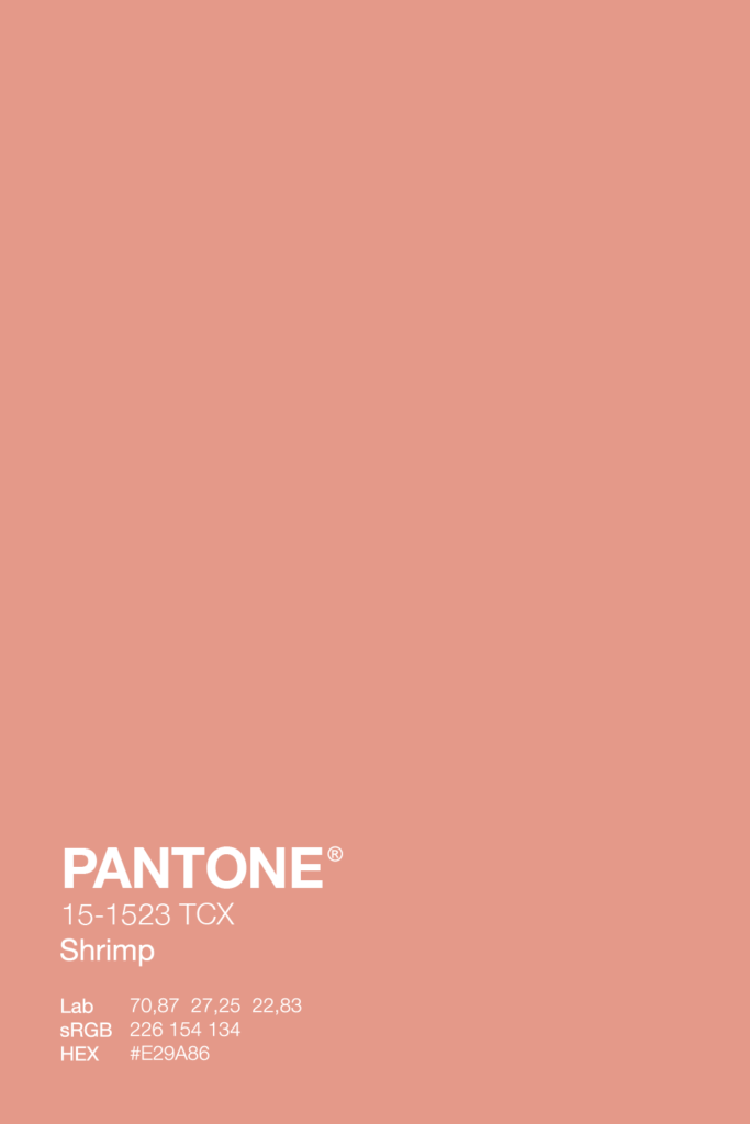 Fire Clay Color Palette - Amberblue Media