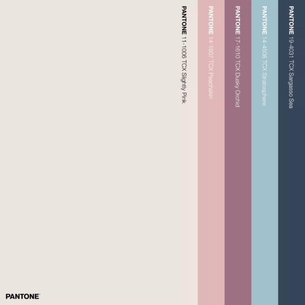 Pantone Mushroom Medley Color Palette - Amberblue Media