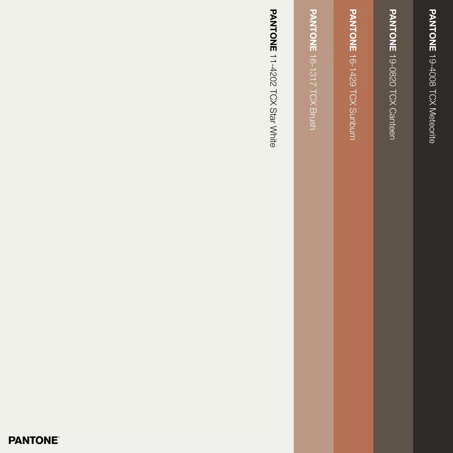 Pantone Natural Habitat Color Palette - Amberblue Media