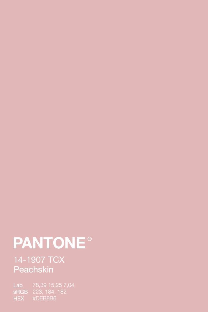 Pantone Mushroom Medley Color Palette - Amberblue Media